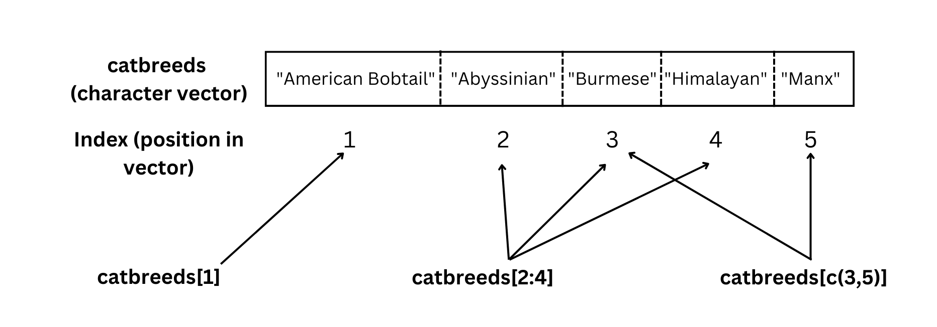 Research Transparency, Reproducibility, and Basic Data Analysis in R! - 4 Data Types